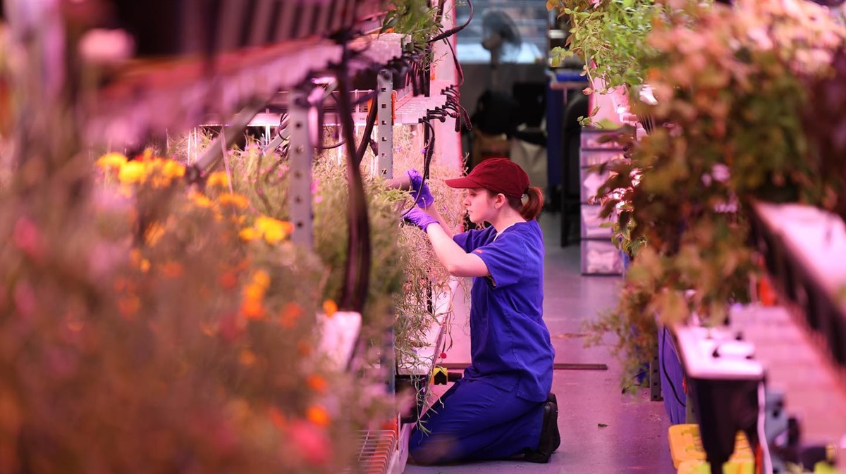 Fresh Impact Farms Offers a New Lens on Urban Agriculture Arlington ...