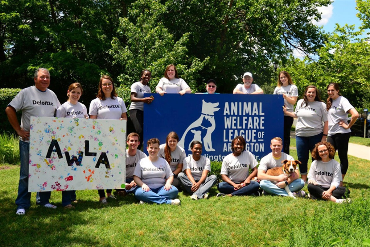 How Arlington businesses can make a difference with AWLA’s Corp Care ...